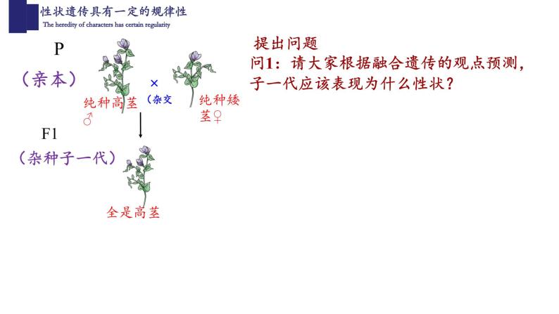 初中生物北师大版八年级上册第3节 性状遗传有一定的规律性图片课件ppt 教习网课件下载