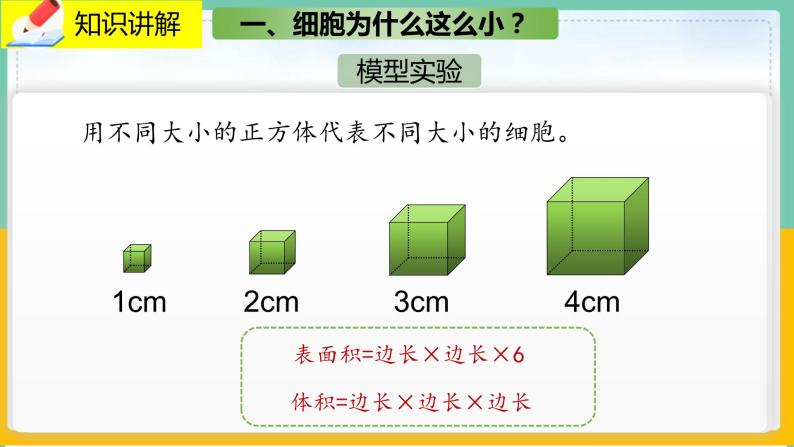 初中生物北师大版七年级上册第3节 细胞通过分裂而增殖精品课件ppt 教习网课件下载