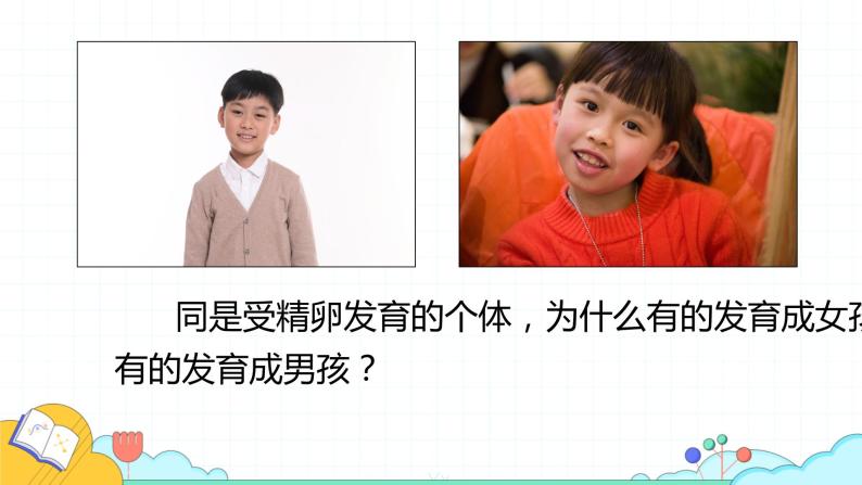 初中生物人教版 新课标八年级下册第四节 人的性别遗传教案配套课件ppt 教习网课件下载