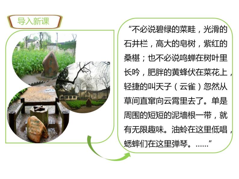 七年级上册第二节 调查周边环境中的生物背景图ppt课件 教习网课件下载