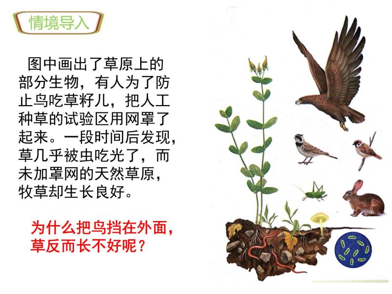 初中生物人教版 新课标七年级上册第二节 生物与环境组成生态系统图片课件ppt 教习网课件下载