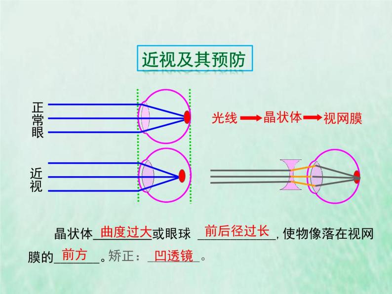初中生物苏教版七年级下册第三节 人体感知信息说课ppt课件 教习网课件下载