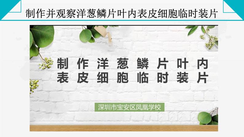初中生物人教版 新课标七年级上册第二节 植物细胞教案配套ppt课件 教习网课件下载