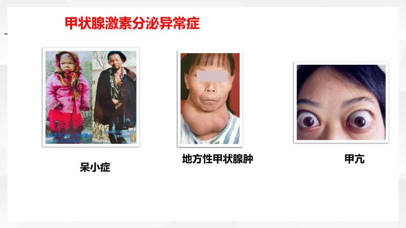 人教版 新课标七年级下册第四节 激素调节课文内容ppt课件 教习网课件下载