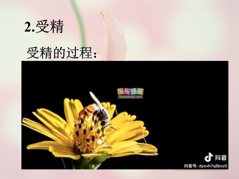 人教版 新课标七年级上册第三节 开花和结果教学课件ppt 教习网课件下载