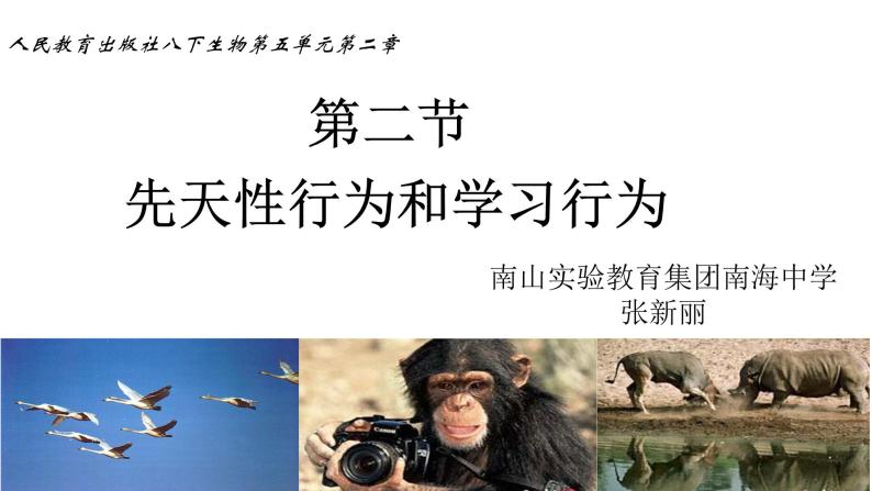 初中生物人教版 新课标八年级上册第二节 先天性行为和学习行为评课课件ppt 教习网课件下载