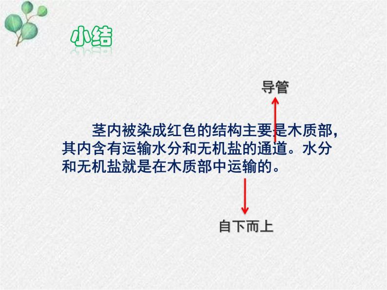 生物七年级上册第5节 运输作用背景图ppt课件 教习网课件下载