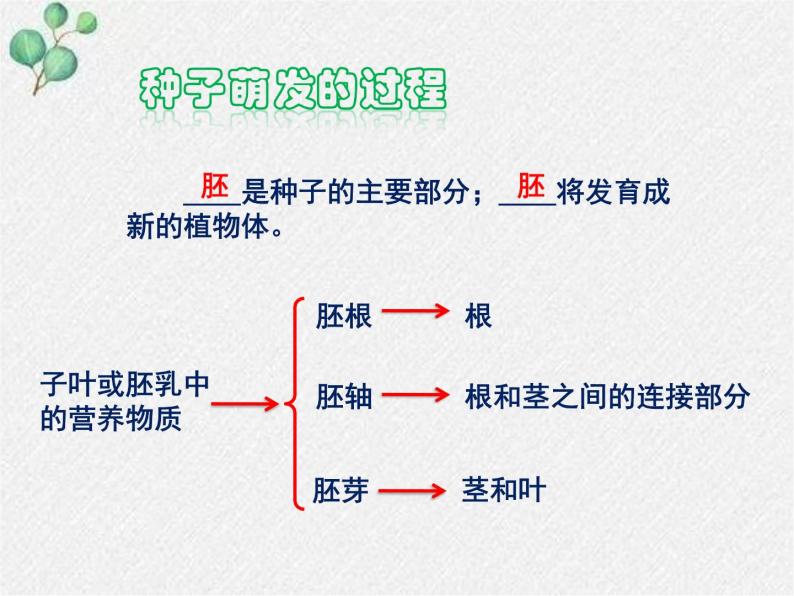 初中生物北师大版七年级上册第1节 种子萌发形成幼苗课堂教学ppt课件 教习网课件下载