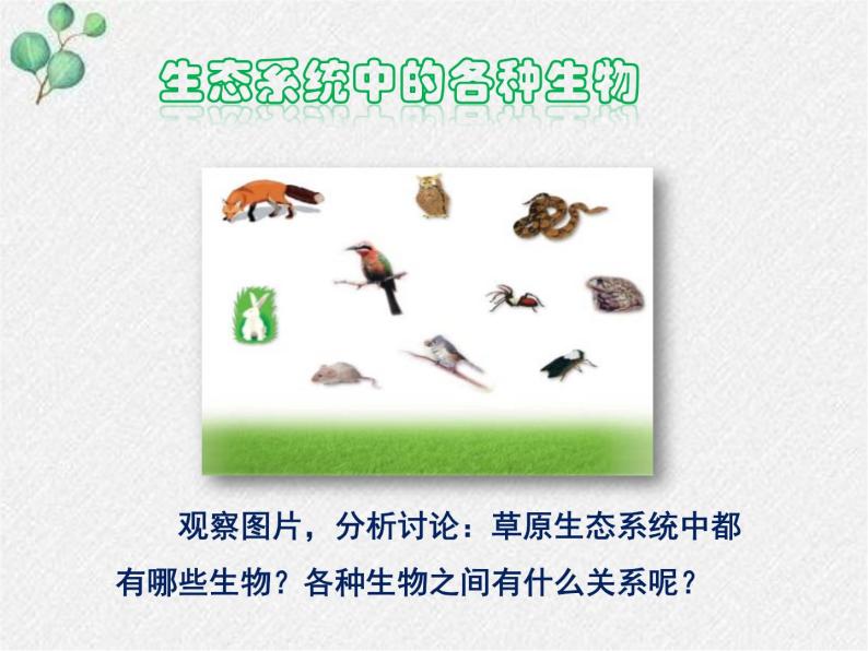 初中生物北师大版八年级下册第3节 生态系统的结构和功能课文配套课件ppt 教习网课件下载