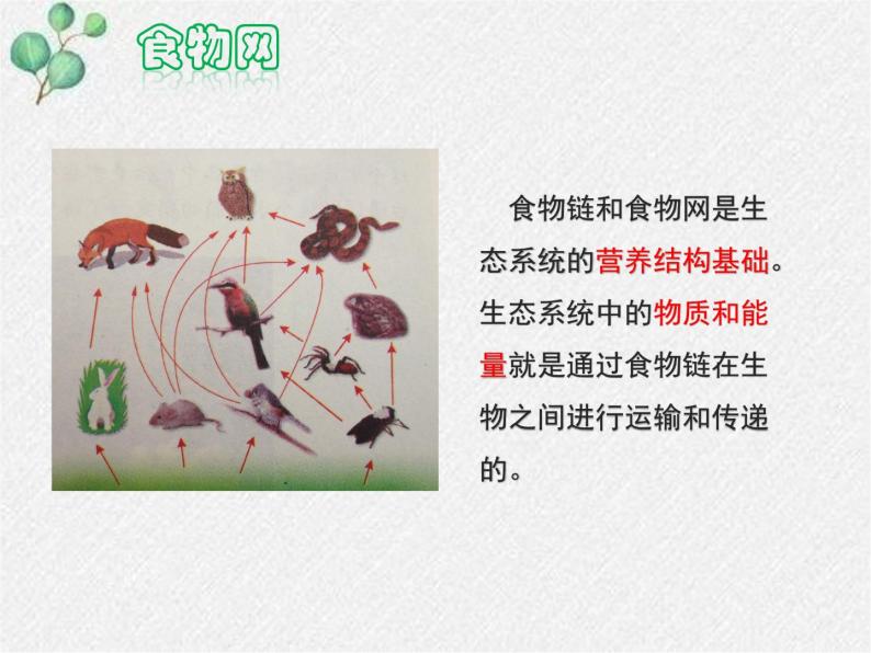 初中生物北师大版八年级下册第3节 生态系统的结构和功能课文配套课件ppt 教习网课件下载