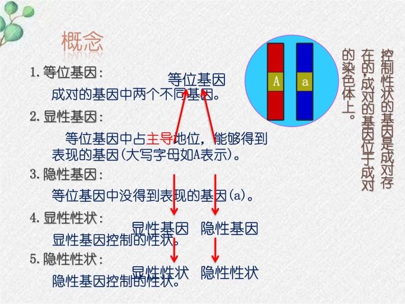 北师大版八年级上册第3节 性状遗传有一定的规律性背景图课件ppt 教习网课件下载