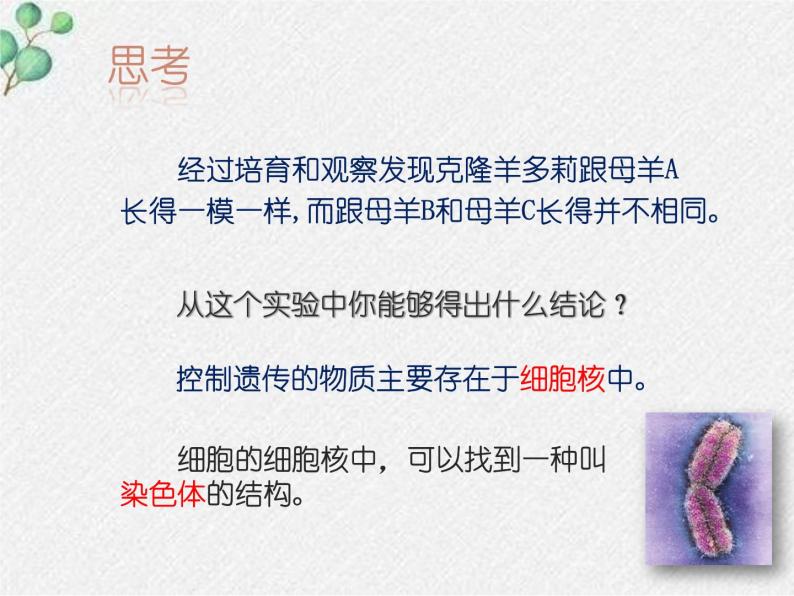 八年级上册第2节 性状遗传的物质基础授课ppt课件 教习网课件下载