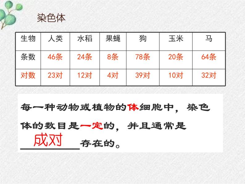 八年级上册第2节 性状遗传的物质基础授课ppt课件 教习网课件下载