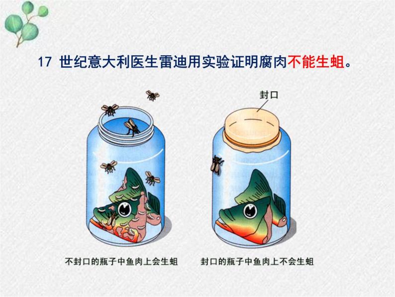 北师大版八年级下册第七单元 生命的演化第21章 生命的发生和发展第1节 生命的起源课堂教学ppt课件 教习网课件下载