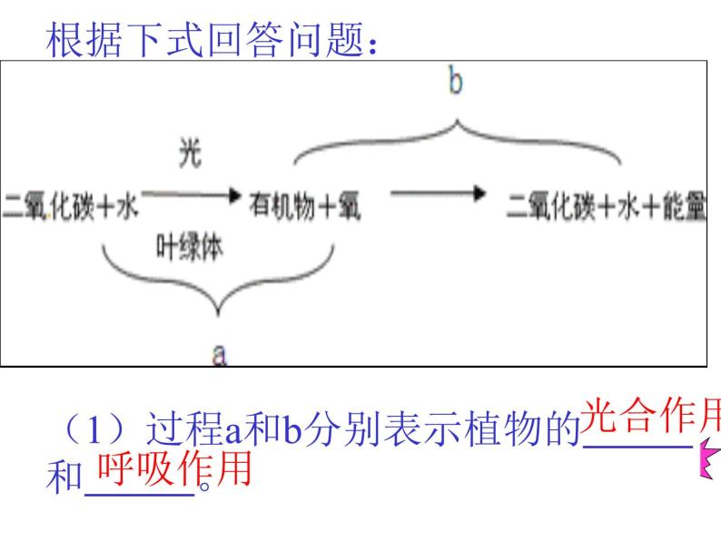 生物七年级上册第六章 爱护植被,绿化祖国课文配套ppt课件 教习网课件下载