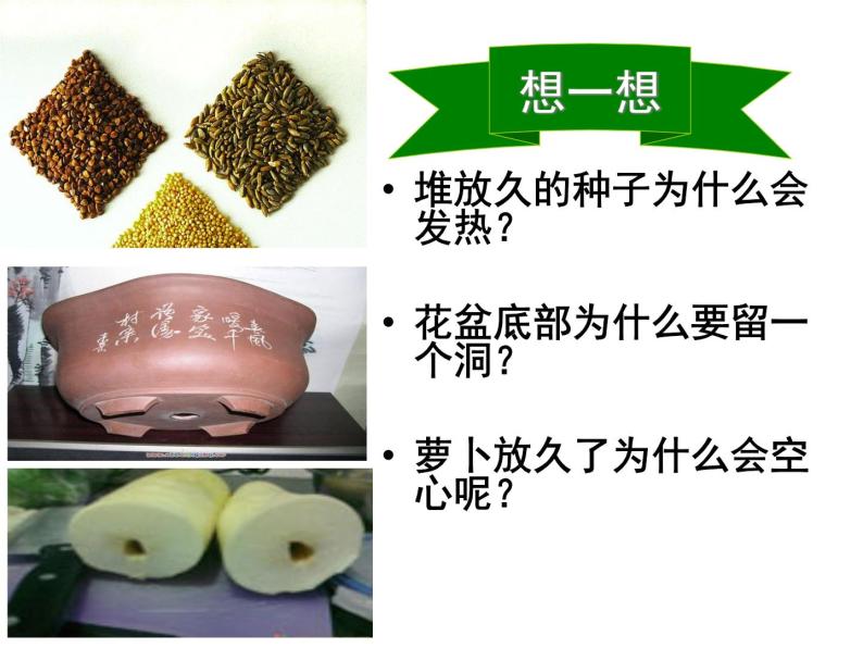 初中生物人教版 新课标七年级上册第二节 绿色植物的呼吸作用课前预习课件ppt 教习网课件下载