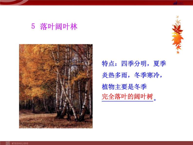 初中生物人教版 新课标七年级上册第六章 爱护植被,绿化祖国课文内容课件ppt 教习网课件下载