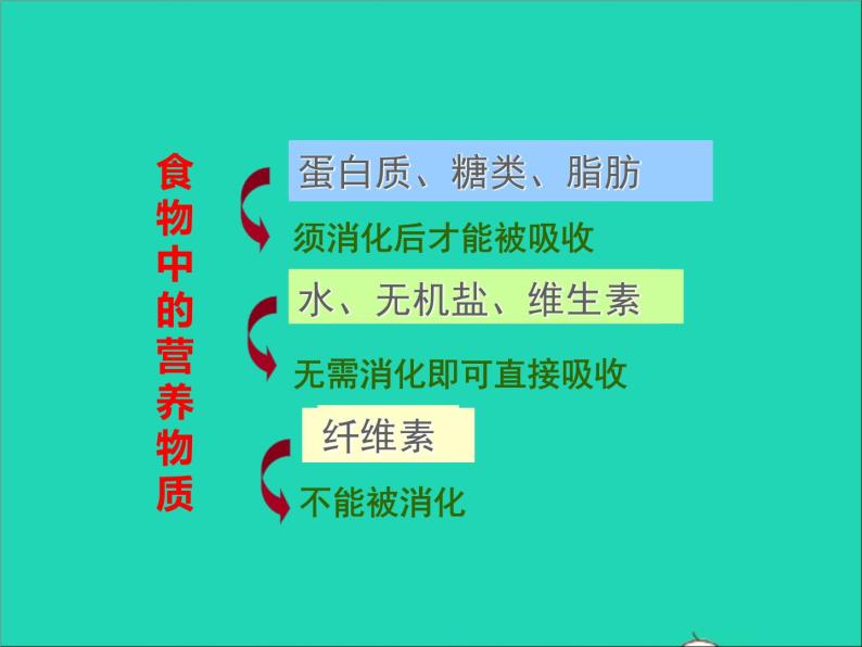 生物七年级下册第二节 消化和吸收教学ppt课件 教习网课件下载