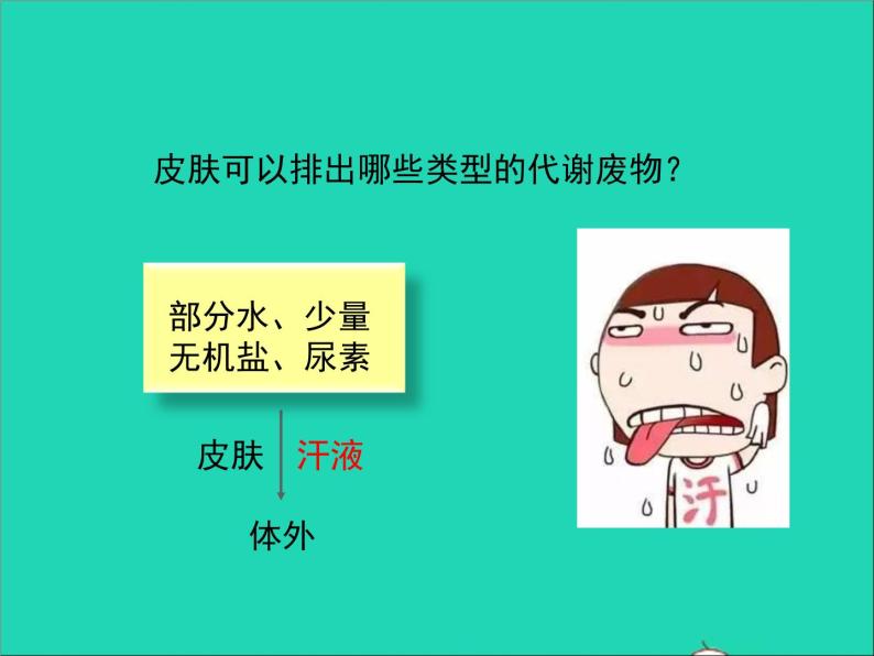 北师大版七年级下册第1节 人体产生的代谢废物教学ppt课件 教习网课件下载