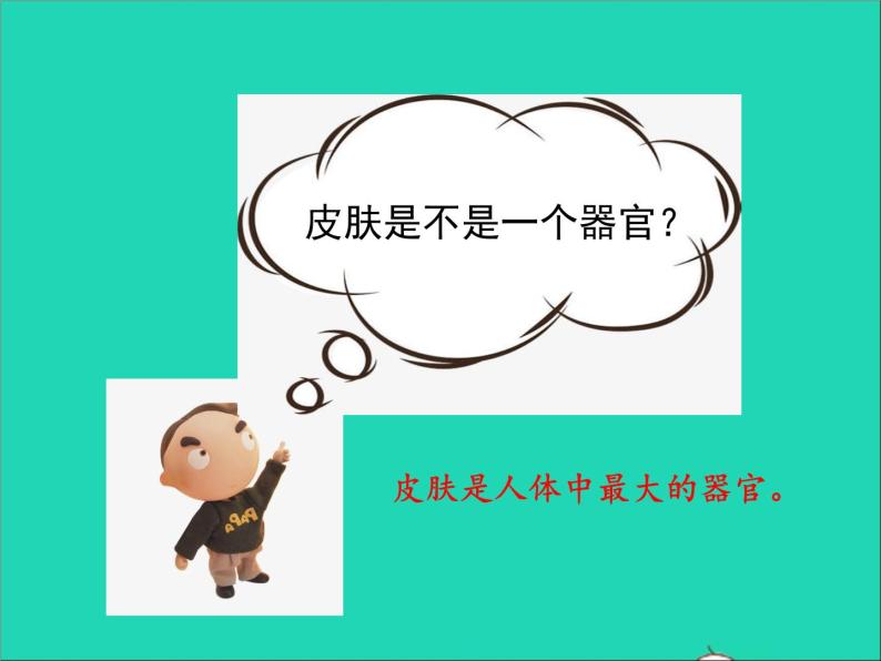 北师大版七年级下册第3节 皮肤与汗液分泌教学课件ppt 教习网课件下载