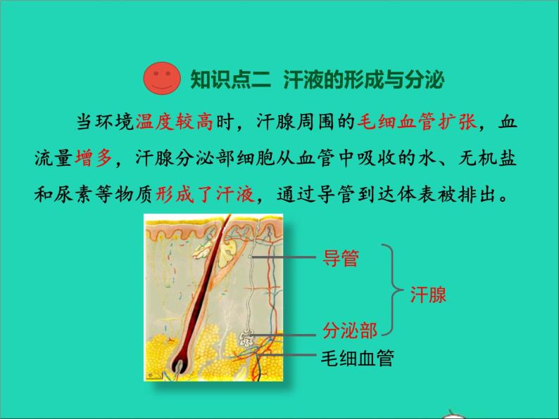 北师大版七年级下册第3节 皮肤与汗液分泌教学课件ppt 教习网课件下载