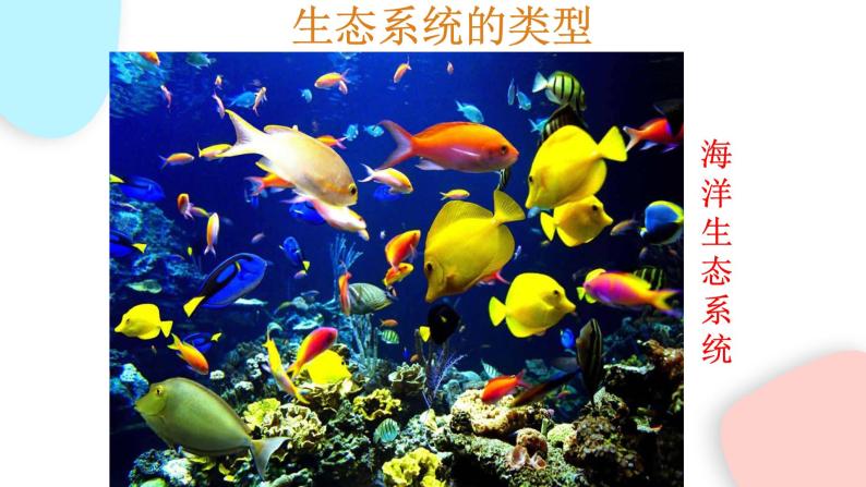 2021学年第三节 生物圈是最大的生态系统课文内容ppt课件 教习网课件下载