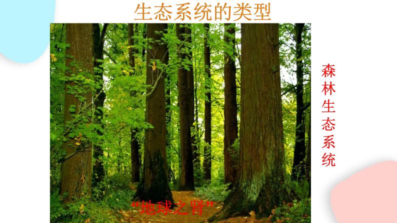 2021学年第三节 生物圈是最大的生态系统课文内容ppt课件 教习网课件下载