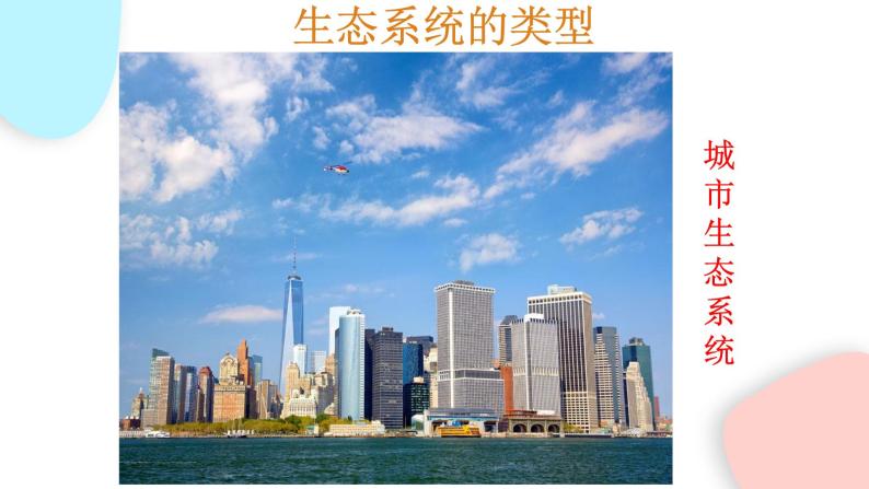 2021学年第三节 生物圈是最大的生态系统课文内容ppt课件 教习网课件下载
