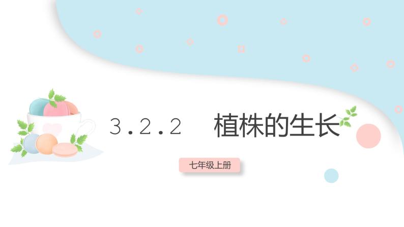 生物七年级上册第二节 植株的生长集体备课ppt课件 教习网课件下载