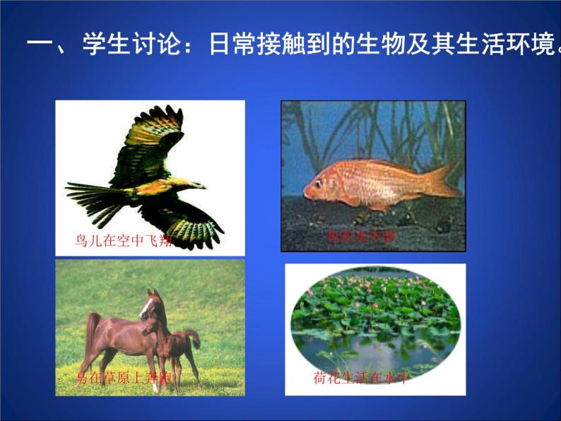 初中生物北师大版七年级上册第1节 形形色色的生物多媒体教学课件ppt 教习网课件下载