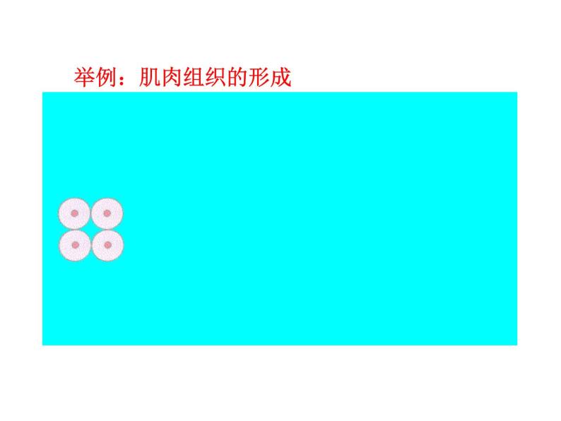 初中生物北师大版七年级上册第1节 细胞分化形成组织背景图ppt课件 教习网课件下载