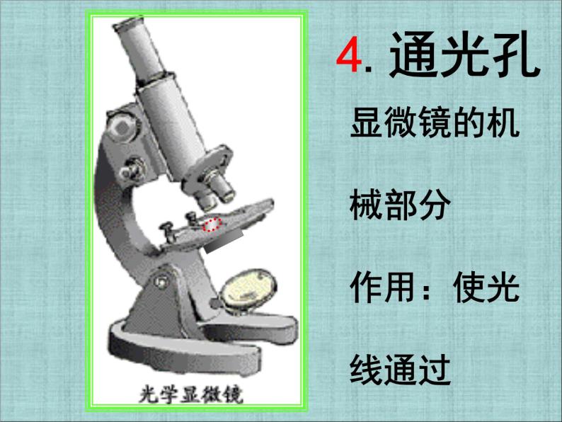 人教版 新课标七年级上册第一节 练习使用显微镜教案配套ppt课件 教习网课件下载