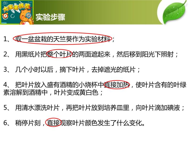 初中生物人教版 新课标七年级上册第四章 绿色植物是生物圈中有机物的制造者课文内容ppt课件 教习网课件下载