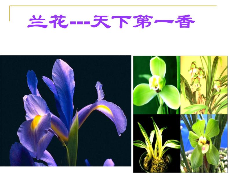 初中生物人教版 新课标七年级上册第三节 开花和结果教课内容课件ppt 教习网课件下载
