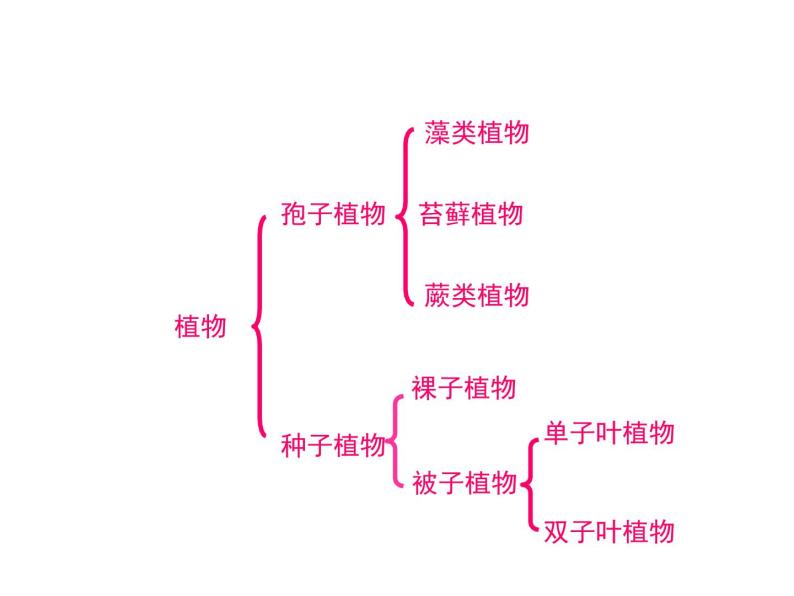 初中生物人教版 新课标八年级上册第二节 从种到界课前预习ppt课件 教习网课件下载