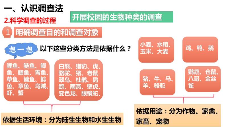 生物七年级上册第二节 调查周边环境中的生物教课内容课件ppt 教习网课件下载