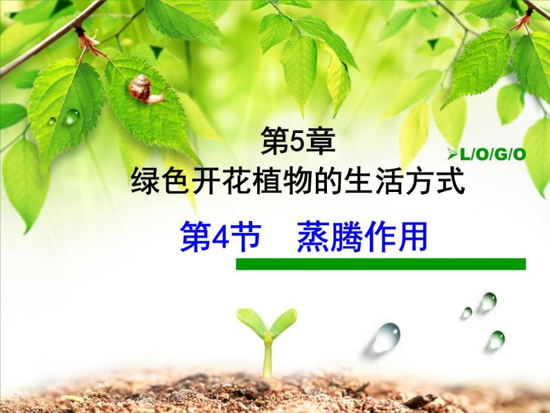 初中生物北师大版七年级上册第4节 蒸腾作用说课课件ppt 教习网课件下载