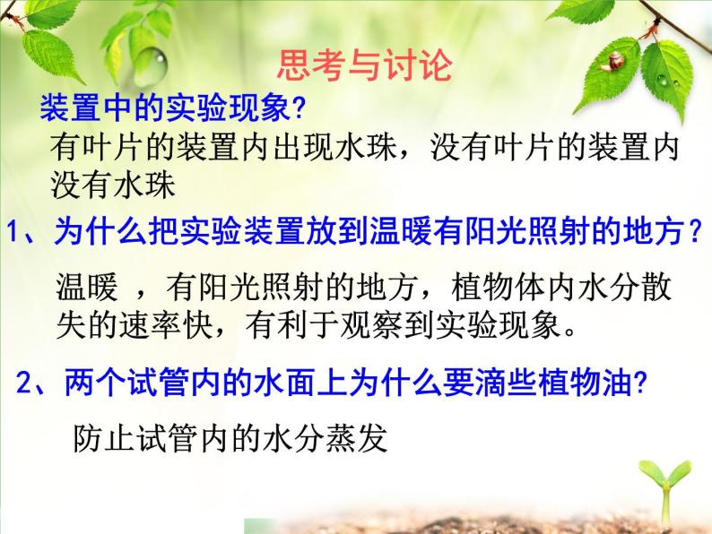 初中生物北师大版七年级上册第4节 蒸腾作用说课课件ppt 教习网课件下载