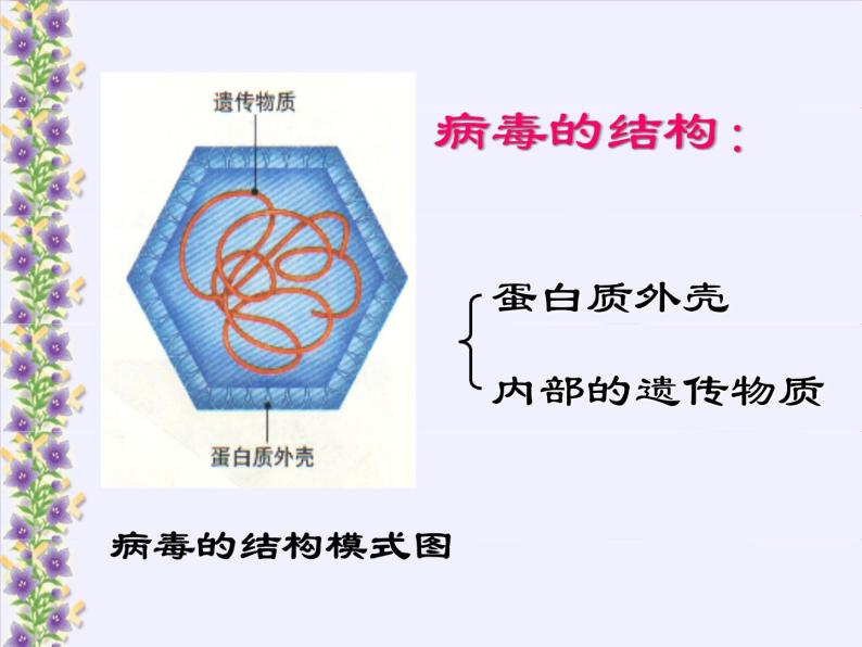 人教版 新课标八年级上册第五单元 生物圈中的其他生物第五章 病毒教案配套课件ppt 教习网课件下载