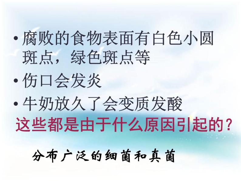 初中生物人教版 新课标八年级上册第一节 细菌和真菌的分布多媒体教学课件ppt 教习网课件下载