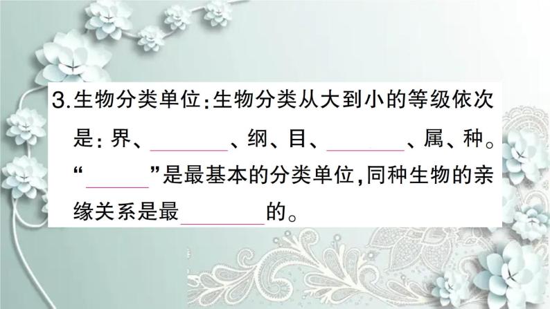 人教版 新课标八年级上册第二节 从种到界教课课件ppt 教习网课件下载