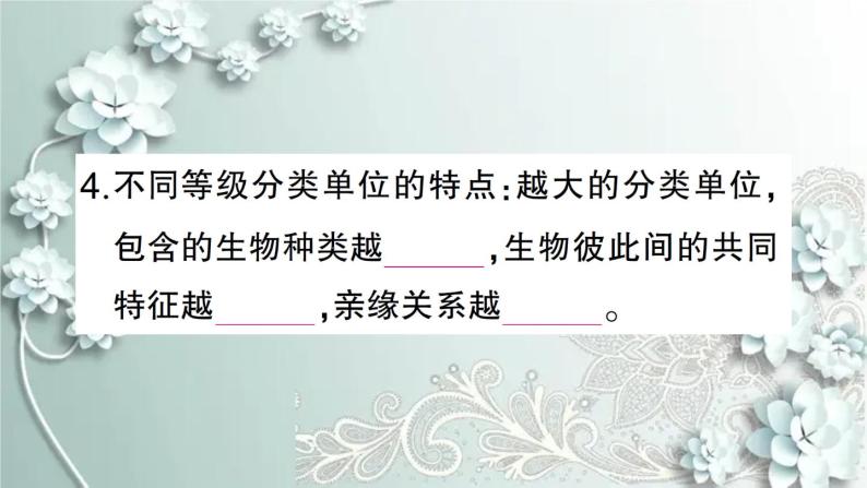 人教版 新课标八年级上册第二节 从种到界教课课件ppt 教习网课件下载