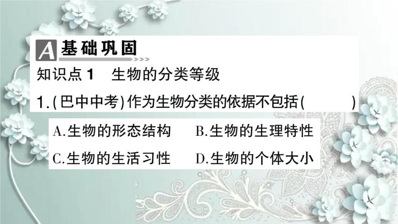人教版 新课标八年级上册第二节 从种到界教课课件ppt 教习网课件下载
