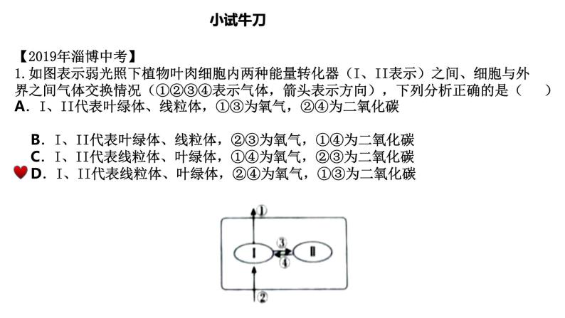 植物的光合作用和呼吸作用坐标曲线等图解复习 教习网课件下载