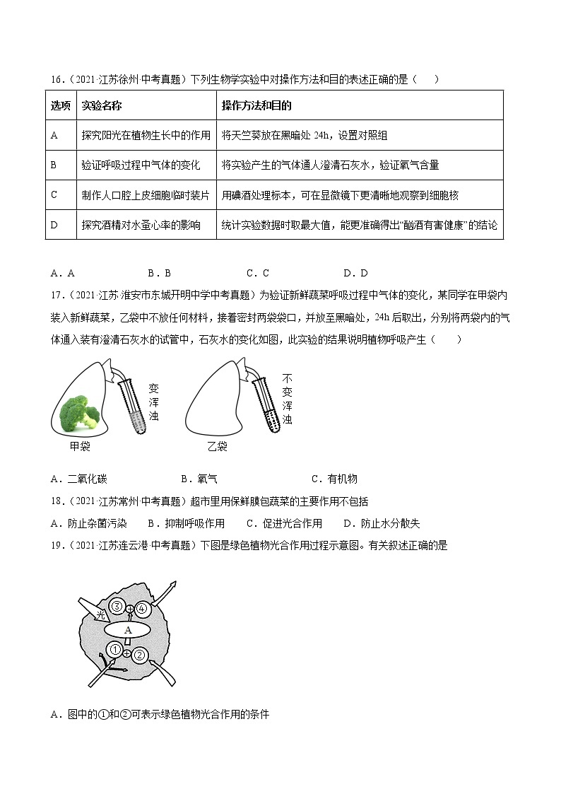 2020 2022年江苏中考生物3年真题汇编 专题04 绿色植物的蒸腾作用、光合作用和呼吸作用(学生卷教师卷) 教习网试卷下载