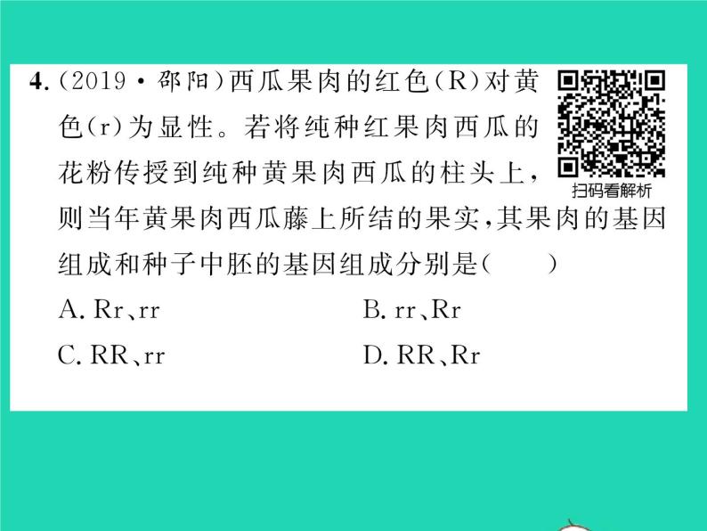 人教版 新课标八年级下册第二章 生物的遗传和变异综合与测试复习ppt课件 教习网课件下载