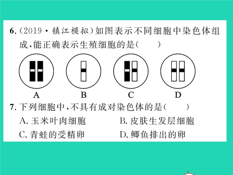 人教版 新课标八年级下册第二节 基因在亲子代间的传递习题课件ppt 教习网课件下载