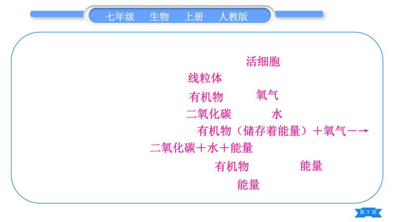 人教版七年级生物上第三单元生物圈中的绿色植物第三~六章复习与提升习题课件 教习网课件下载