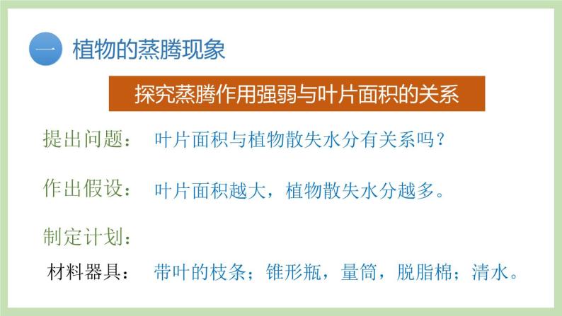 初中生物济南版七年级上册第二节 绿色植物的蒸腾作用备课课件ppt 教习网课件下载
