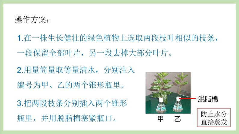 初中生物济南版七年级上册第二节 绿色植物的蒸腾作用备课课件ppt 教习网课件下载